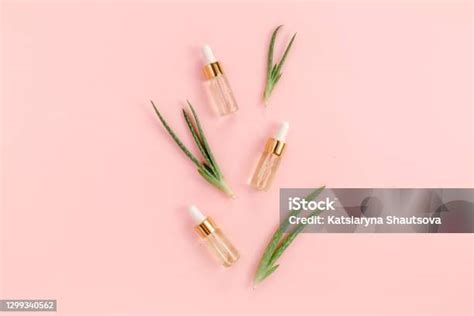 분홍색 배경에 알로에 베라 에센셜 오일 약용 식물 치료 하 고 크림을 만드는 데 사용 됩니다 플랫 레이 위쪽 보기 건강관리와 의술에 대한 스톡 사진 및 기타 이미지 Istock
