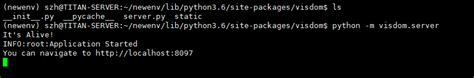 pytorch可视化工具visdom启动失败解决方法 warning visdom could not start so