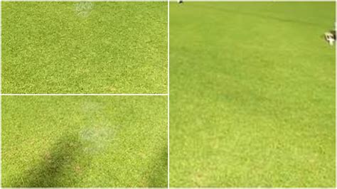 Kkr Vs Srh Pitch Report Weather Report आसमान रहेगा साफ टॉस जीतने