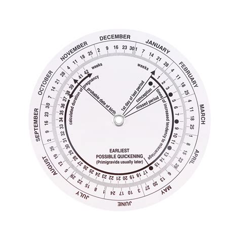 Pregnancy Wheel 8pcs Pregnant Due Date Calculator