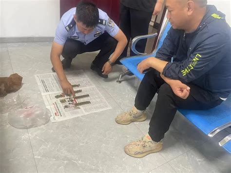 “警察同志，我找到了很多子弹”澎湃号·政务澎湃新闻 The Paper