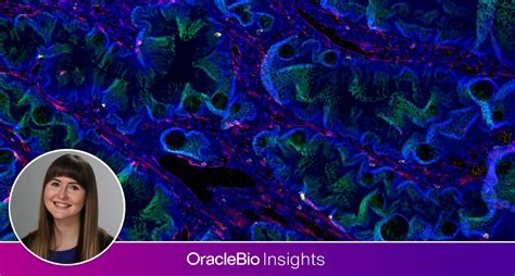 6 Ways To Improve The Quality Of Quantitative Histopathology Data