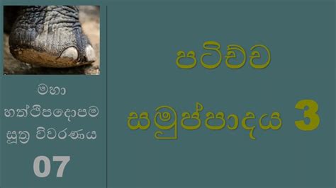 මහා හත්ථිපදොපම සූත්‍ර විවරණය 07 පටිච්ච සමුප්පාදය 3 Youtube