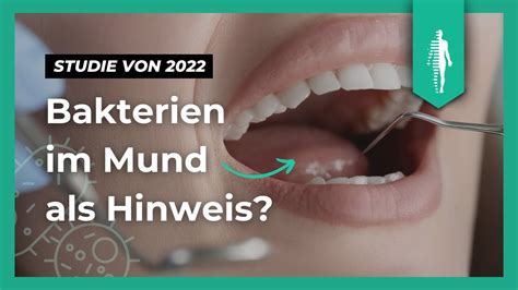 Bakterien Im Mund Als Hinweis Auf Erkrankungen Zahngesundheit Studie