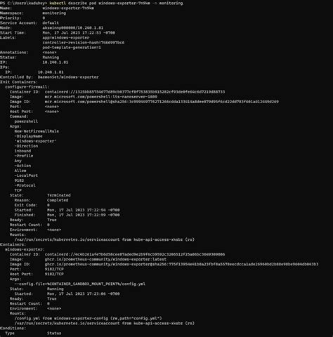 Windows Exporter Daemonset Does Not Expose Metrics About Itself · Issue
