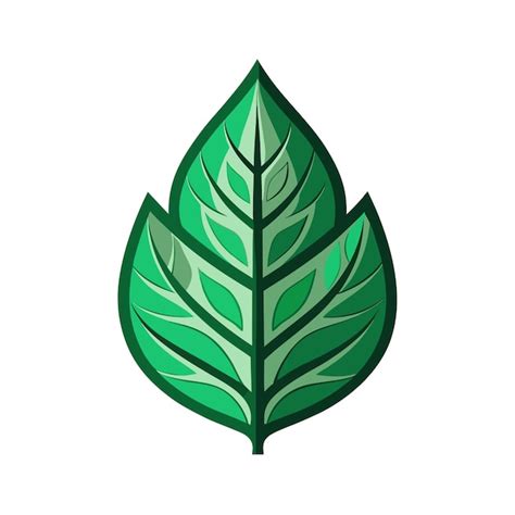 Beautiful Flat Style Leaf Icon Vector Illustration Premium Ai