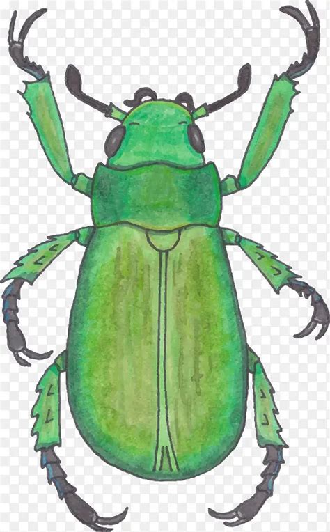 Png Png
