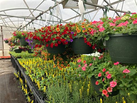 Working In The Yard This Weekend Get Your Plants At The Jackson Area