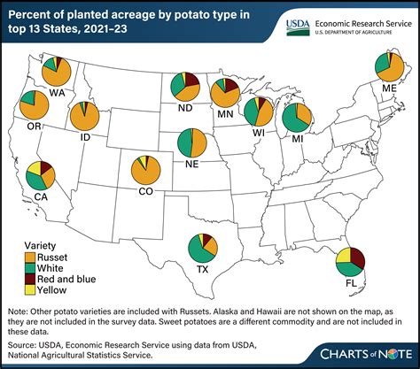 Russets Dominate Potato Acreage In Most Top Producing States Economic Research Service