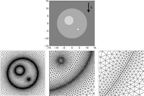 figure 1 from the spatially distributed dynamic transmembrane voltage
