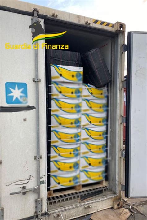 Oltre 200 Kg Di Droga Nascosti Tra Le Banane Maxi Sequestro Al Porto