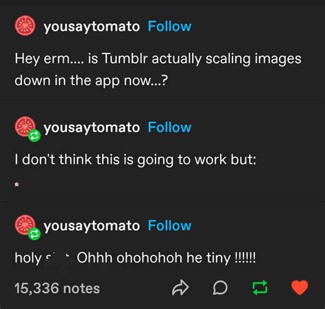 He Tiny Tiny Kirby R Kirby