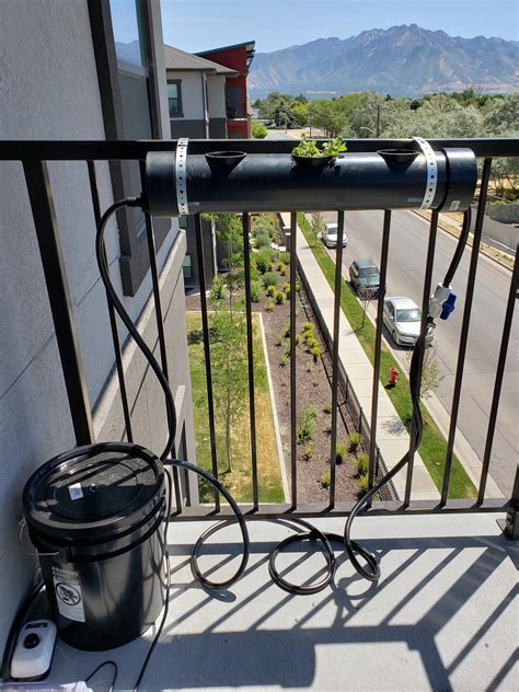 My First Attempt At Hydroponics Was Easier To Set Up Than I Thought It D Be And Cheaper Too I