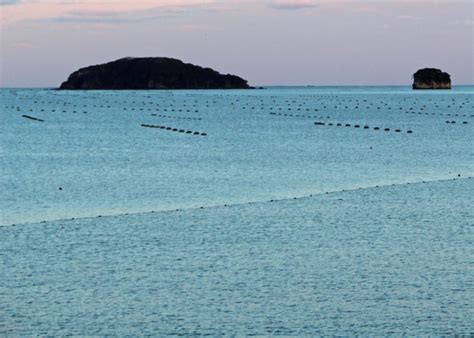 生命の源 海─深刻な汚染の危機に 縁果翁記