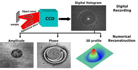 Compact Lens Less Digital Holographic Microscope For Mems Inspection And Characterization