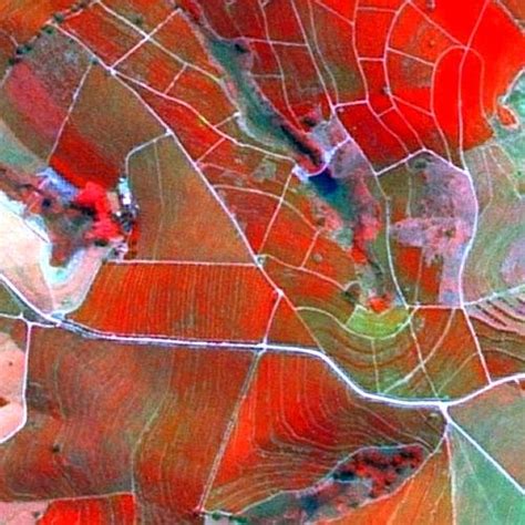 Two Images Of The Coffee Dataset Their Respective Ground Truths And