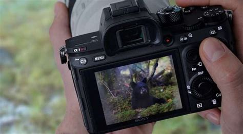 Sony a7R III Price Drop : It's Cheaper Than Ever Now. | Isolapse