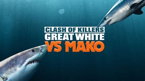 Mako Shark Movie Netflix At Daryl Pulver Blog