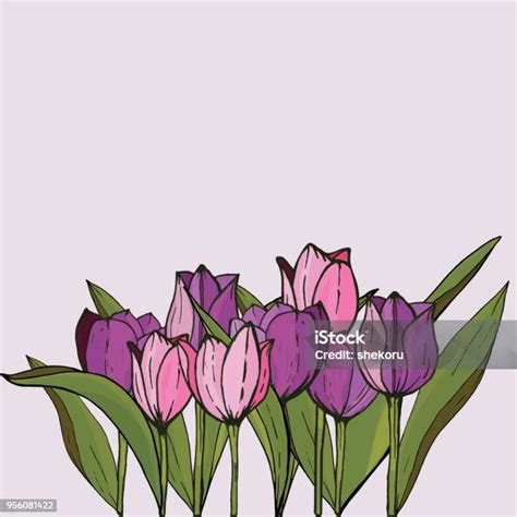 Bingkai Persegi Dengan Tulip Dan Rempahrempah Di Atas Putih Pola Bunga