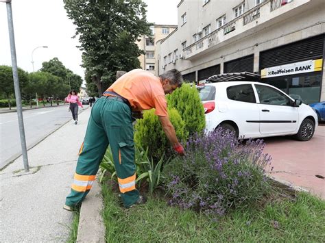 Jkp Šumadija Uređenje Alpinetuma I Cvetne Rasade U Kragujevcu Infozija