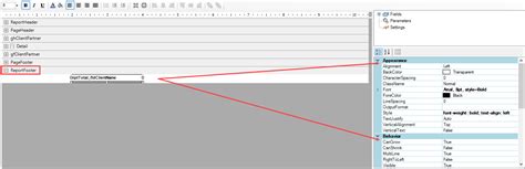 The Report Footer Cch Software User Documentation