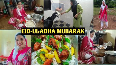 Eid Ul Adha Mubarak Vlog Bakra Eid Vlog Youtube