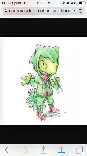 Treeko Wiki Pokémon Amino