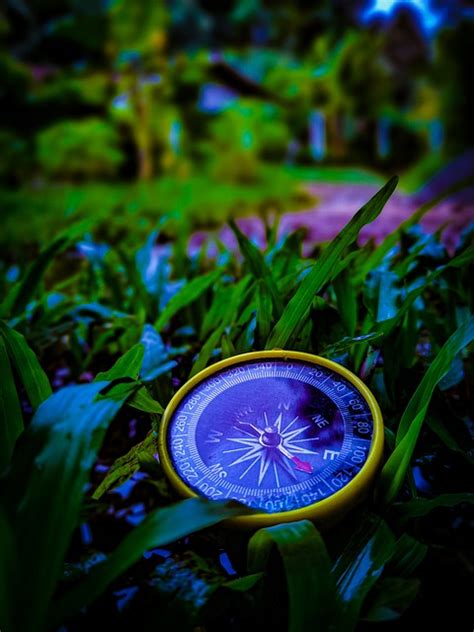 Compass Garden Map Free Photo On Pixabay Pixabay
