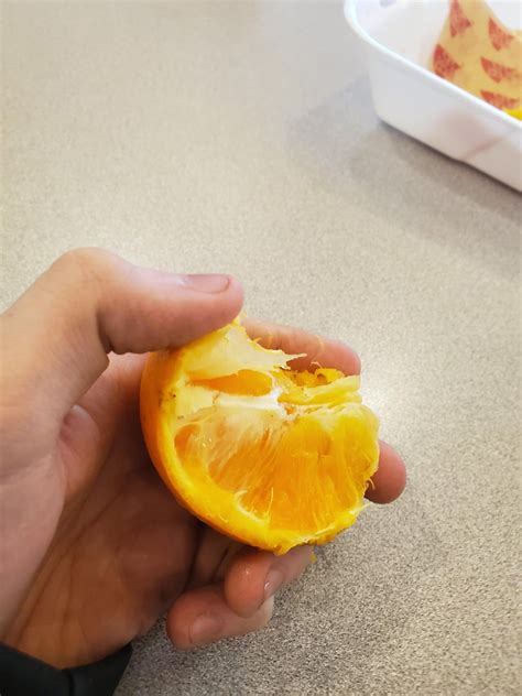 The Way My Friend Eats Oranges R Mildlyinfuriating
