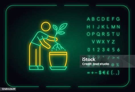 네온 라이트 아이콘을 이식합니다 이식 화분 재배분 변경 묘목을 심는다 외부 빛나는 효과 알파벳 숫자 및 기호로 서명합니다 벡터 격리 Rgb 색상 그림 0명에 대한 스톡 벡터