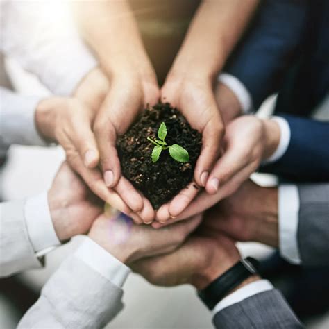 Diy Sustainable Practices Ways To Recycle At Home