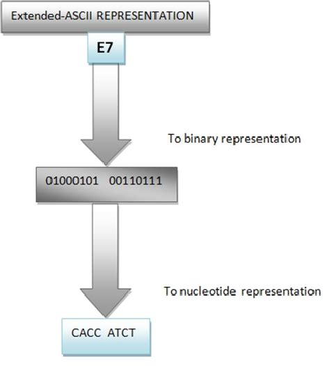 figure 1 from dna sequences compression algorithm based on extended