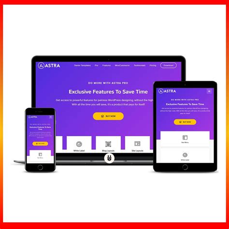 Astra Pro Theme Perfect Theme For Any Website Pluginjet