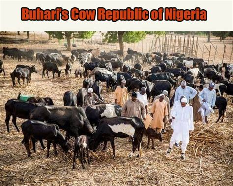 Fulani Herdsmen Attack Soldiers In Agatu Benue State Politics Nigeria