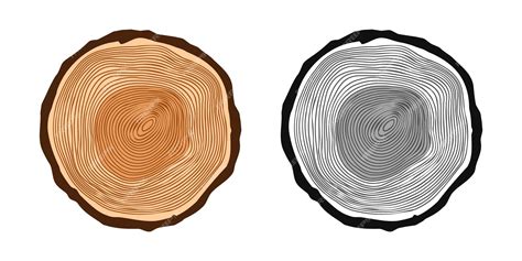 Tronc Darbre Rond Coupé En Différentes Couleurs Tranches De Pin Ou De