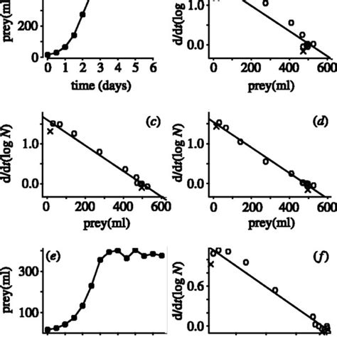 Prey Growth Data In The Absence Of Predators Time Measured In Days