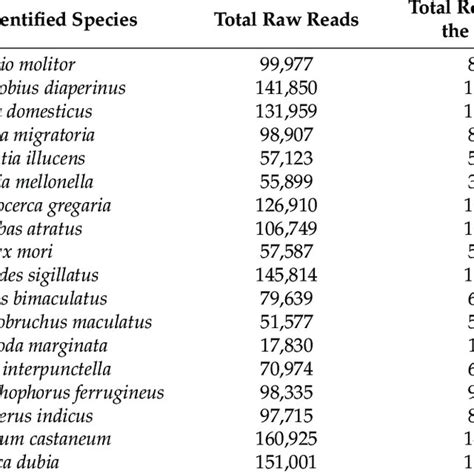 Insect Species Used To Develop The Dna Metabarcoding Method Download