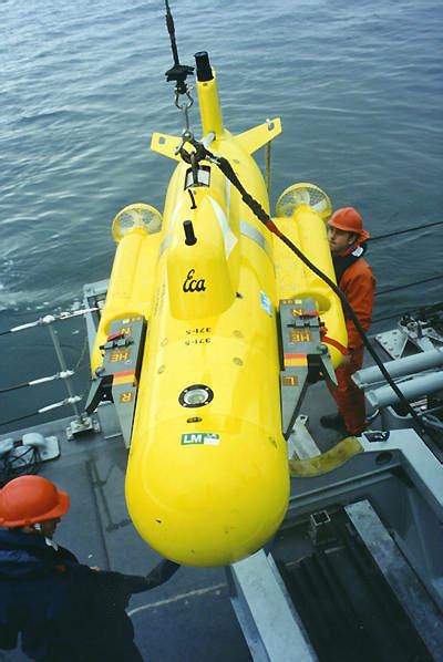 Sandown Class Naval Technology