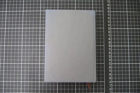 C 2577 傷寒論評註 張明澄 耀文社 昭和49年1月16日初版 ショウカンロン 中国医学 伝統東洋医学｜売買されたオークション情報