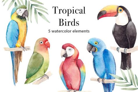Watercolor Tropical Birds Clipart Graphic By Pollyless · Creative Fabrica