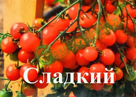 Семена почтой Семенаград Главная