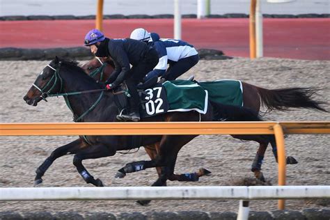【きさらぎ賞 1週前追い切り】朝日杯fs3着ランスオブカオスは馬なりで併走馬に半馬身先着 奥村豊師「距離延長にも対応してくれる」｜競馬ニュース