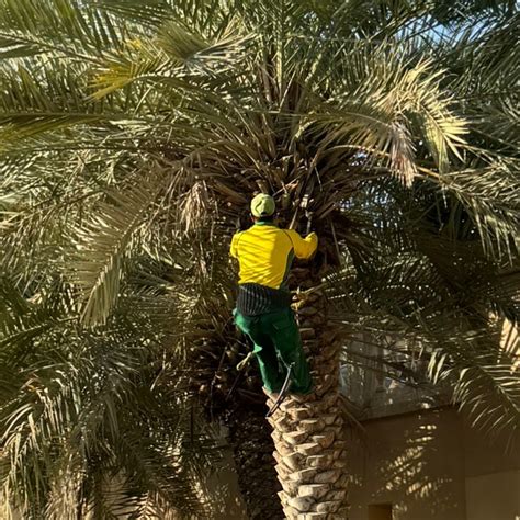 닥신주니어tv Youtube