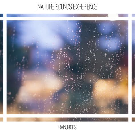 Raindrops Single By Nature Sounds Experience Spotify