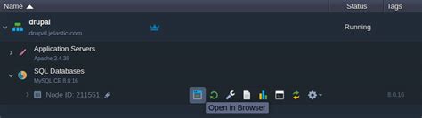 Automatic Drupal Cms Installation To The Cloud With Jelastic Paas Docktera