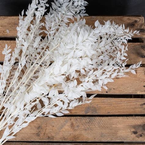 Bakewareind Dried White Ruscus Grass Cake Decorating