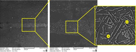 Sem Micrographs Of B0 6 A At Different Magnifications Download