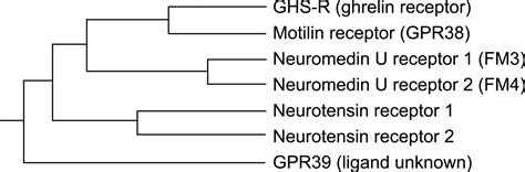 Ghrelin Structure And Function Physiological Reviews American Physiological Society