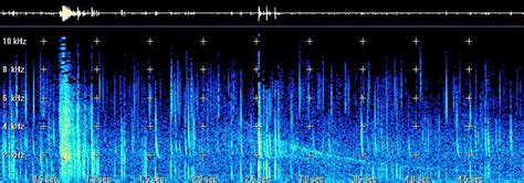 Simple Earth Ionosphere Waveguide Calculation