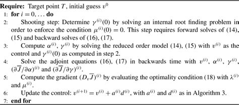 Adjoint Based Scalar Optimization With Shooting Download Scientific